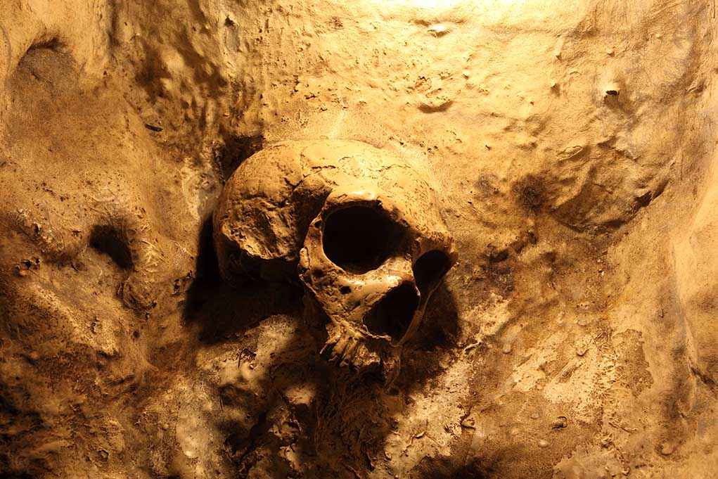 Over 100 Human Skulls FOUND | US News Break